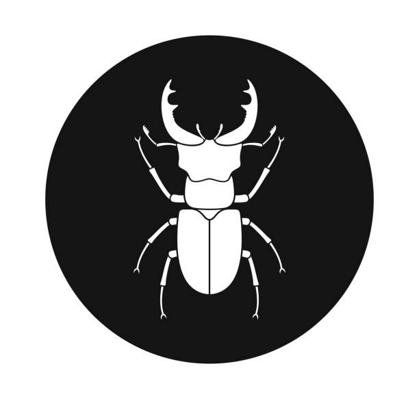 Predatori dei Geotrupi: Strategie, Difese e Sopravvivenza delle Larve ...